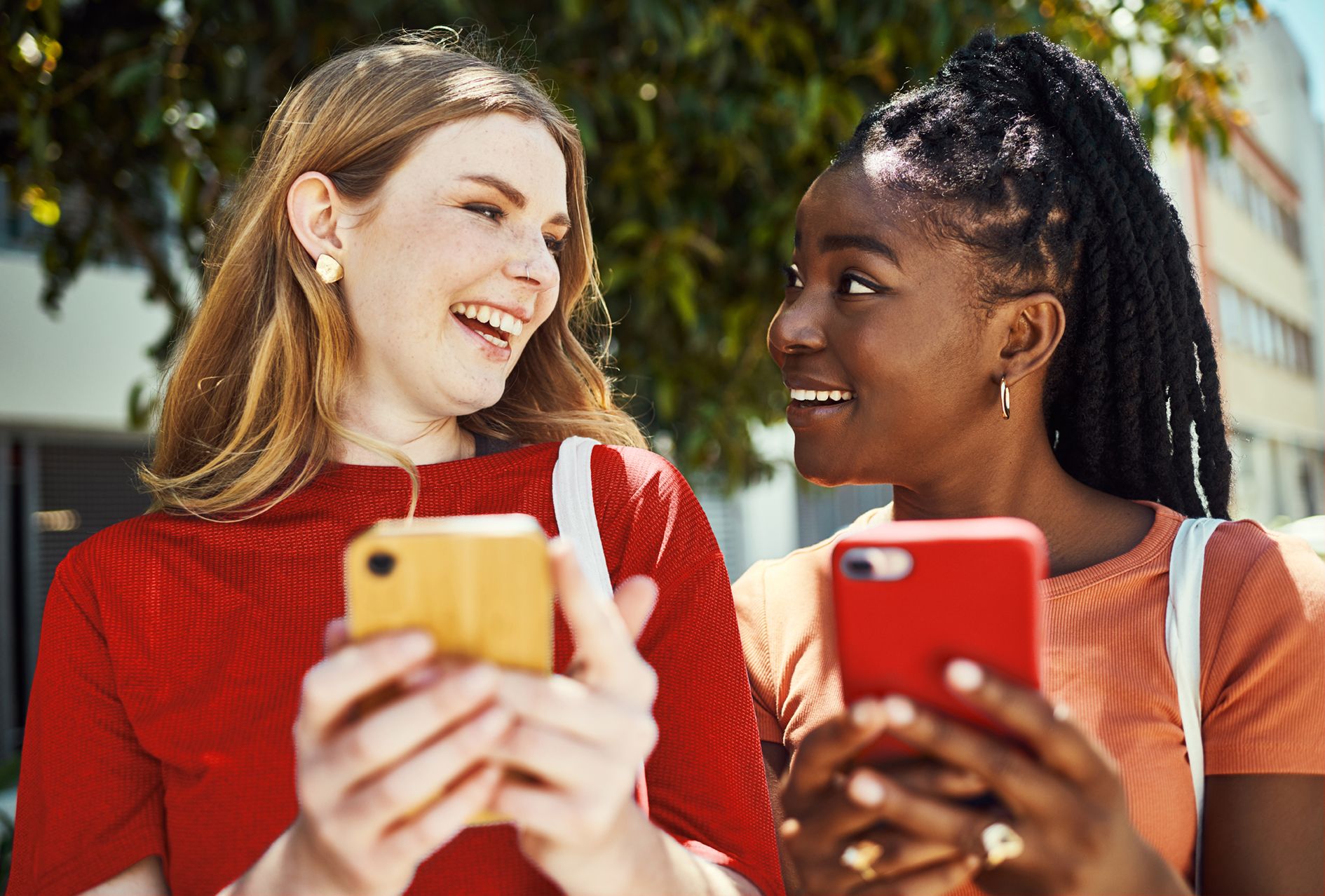 Rogers Preferred Program
